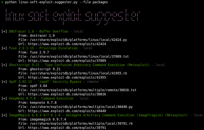 linux-soft-exploit-suggester – Cuando solo entrar no es suficiente – Follow The White Rabbit